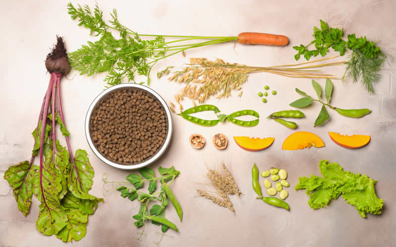 Plant-based dog foods available in the UK | Dogs Go Plant-Based